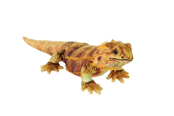 Living Bearded Dragon - 24” | Imagination Unlimited