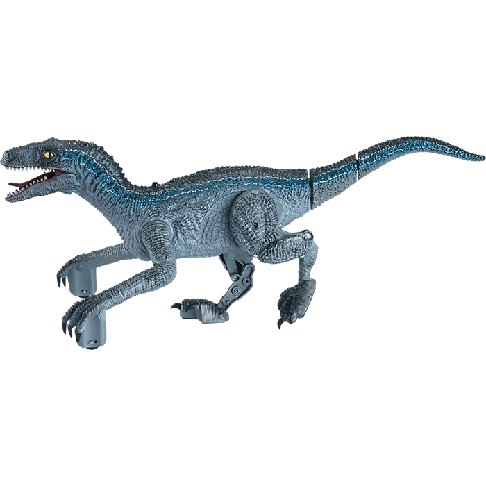 RAPID RAPTOR | Imagination Unlimited