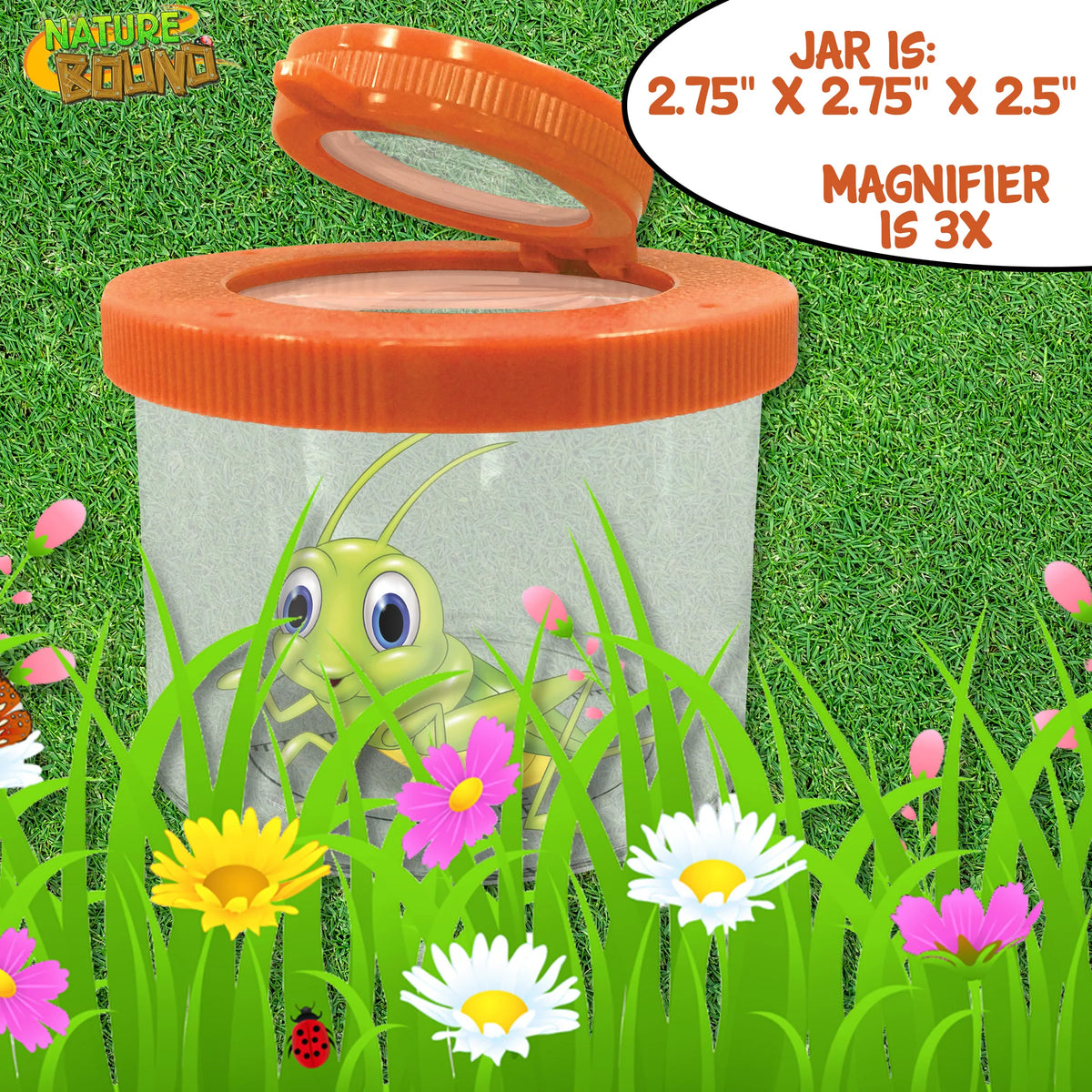 MAGNIFYING BUG VIEWER | Imagination Unlimited